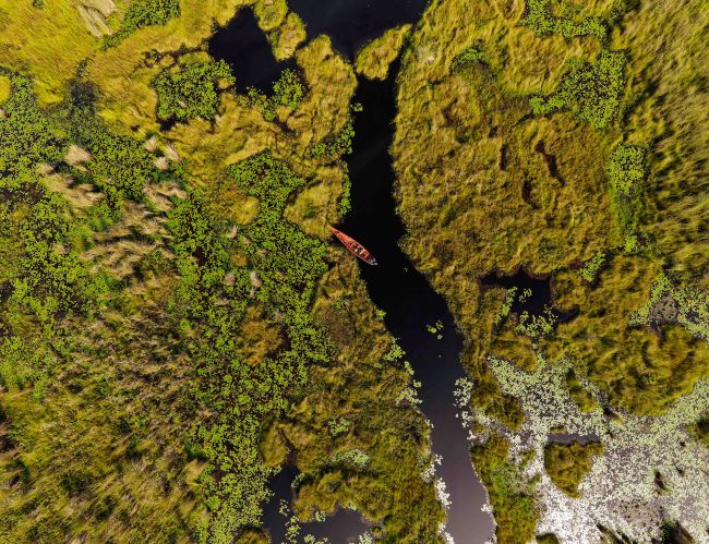 SHOEBILL EXCURSION (Mabamba Wetlands) - Photosafaris Uganda
